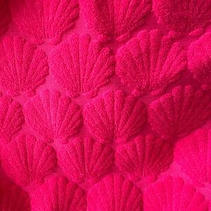 kate spade | Swim | Nwt Kate Spade Sea Shell Bikini Set M | Poshmark